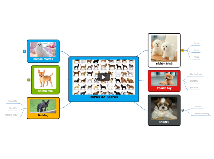 Razas de perros - Mind Map